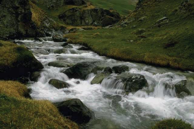 Environmental Monitoring | Pine Environmental – Pine Environmental Canada